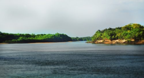 Guía para explorar el Parque Nacional Cinaruco-Capanaparo